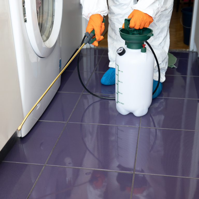 10 Easy Tips to Prevent Pests from Invading Your Home - Kitchen Koala